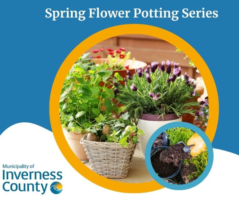 Home Page | Municipality of the County of Inverness